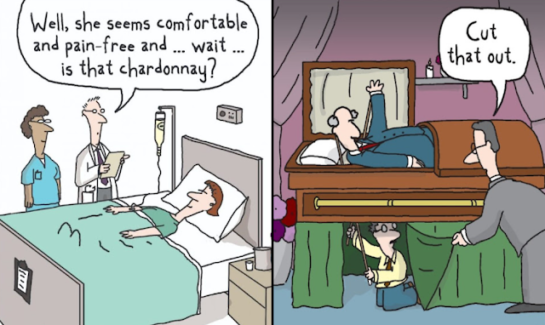 19 Humor Comics That will Boost Your Mood