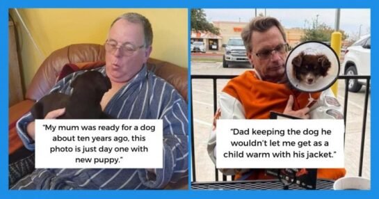 15 People Who Hated Dogs But Now Love Them