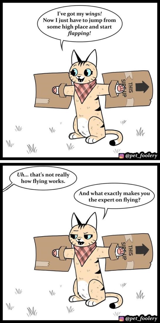 12 New Comics From Everyone’s Favorite Duo Pixie And Brutus