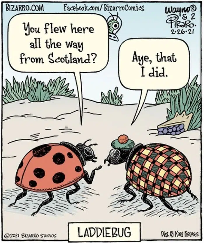 25 Single-Panel Comics That Might Make You Laugh
