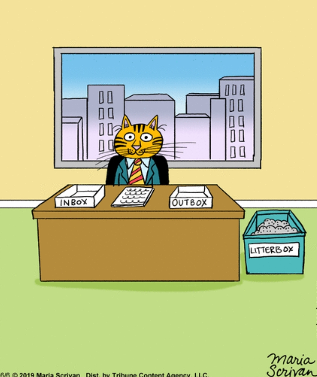 20 Funny Comics Take You On A Funny Journey