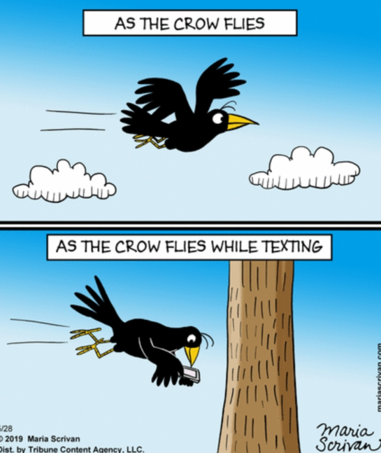 20 Funny Comics Take You On A Funny Journey