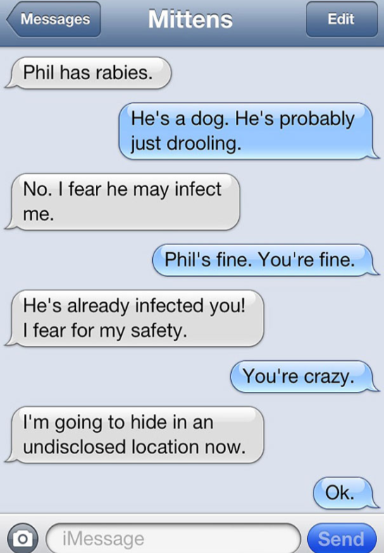 23 Funny Images of What Cat Text Conversation Would Look Like