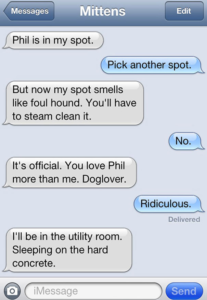 23 Funny Images of What Cat Text Conversation Would Look Like