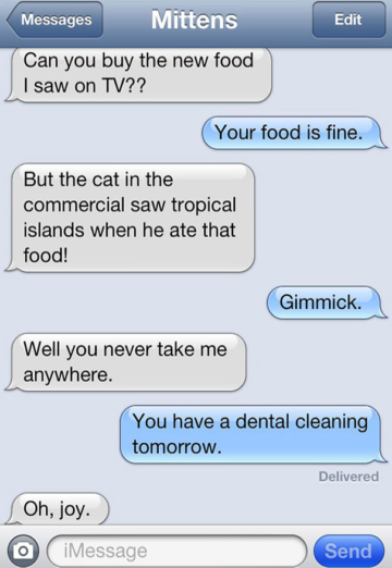 23 Funny Images of What Cat Text Conversation Would Look Like