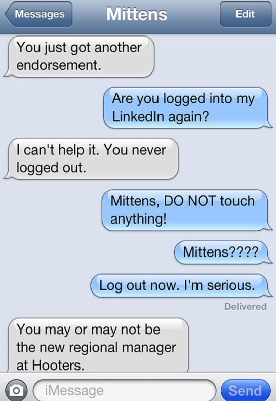23 Funny Images of What Cat Text Conversation Would Look Like