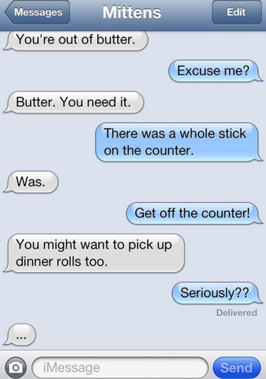 23 Funny Images of What Cat Text Conversation Would Look Like