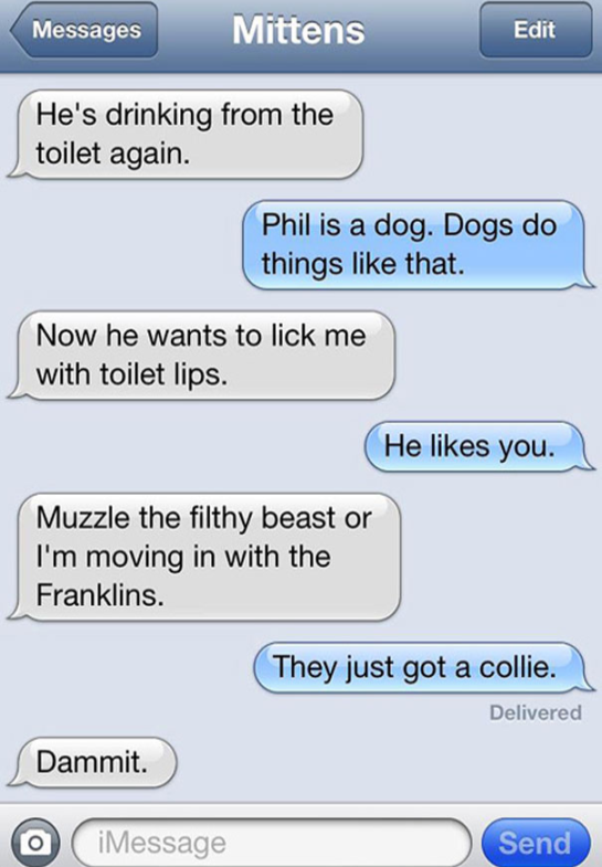 23 Funny Images of What Cat Text Conversation Would Look Like