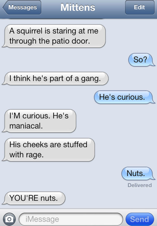 23 Funny Images of What Cat Text Conversation Would Look Like
