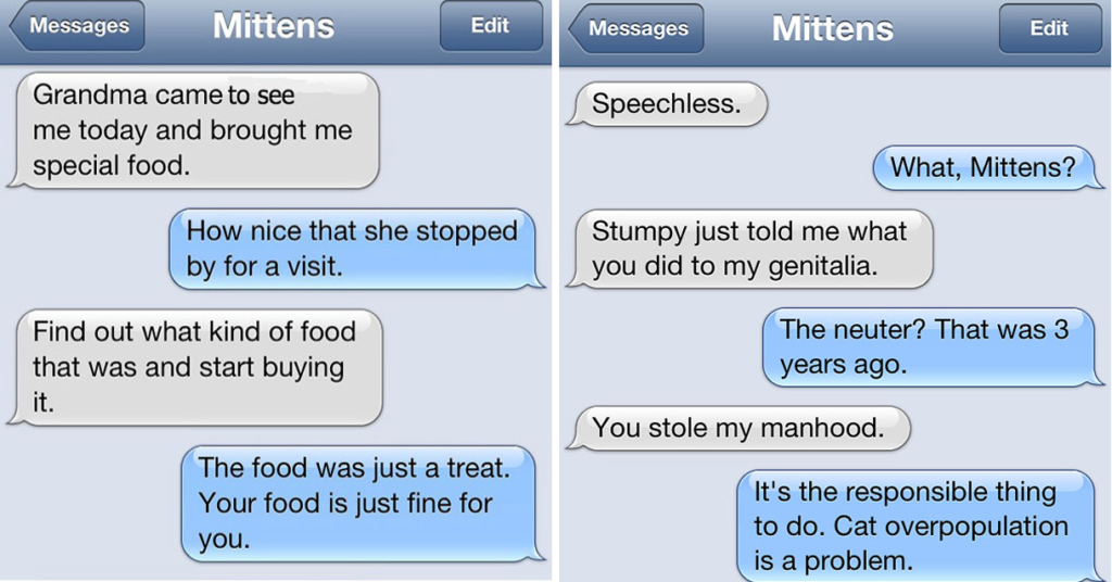 23 Funny Images of What Cat Text Conversation Would Look Like