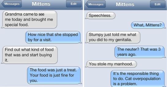23 Funny Images of What Cat Text Conversation Would Look Like