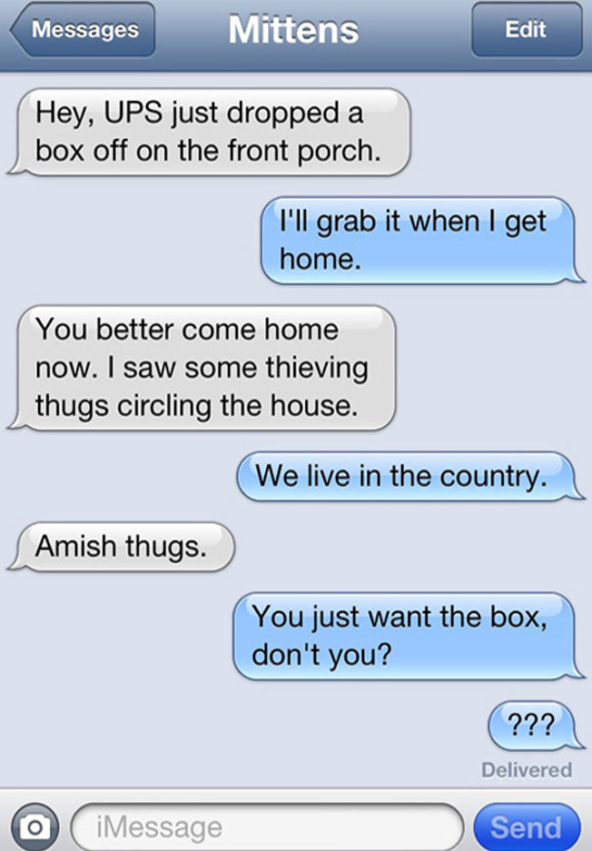 23 Funny Images of What Cat Text Conversation Would Look Like