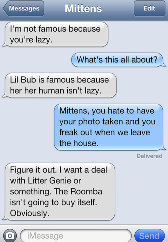 23 Funny Images of What Cat Text Conversation Would Look Like