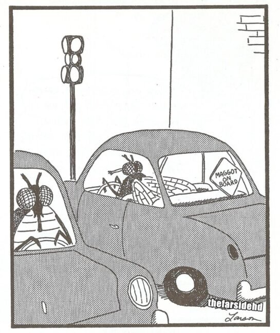 These 19 Far Side Comic Strips to Make your Day Happy