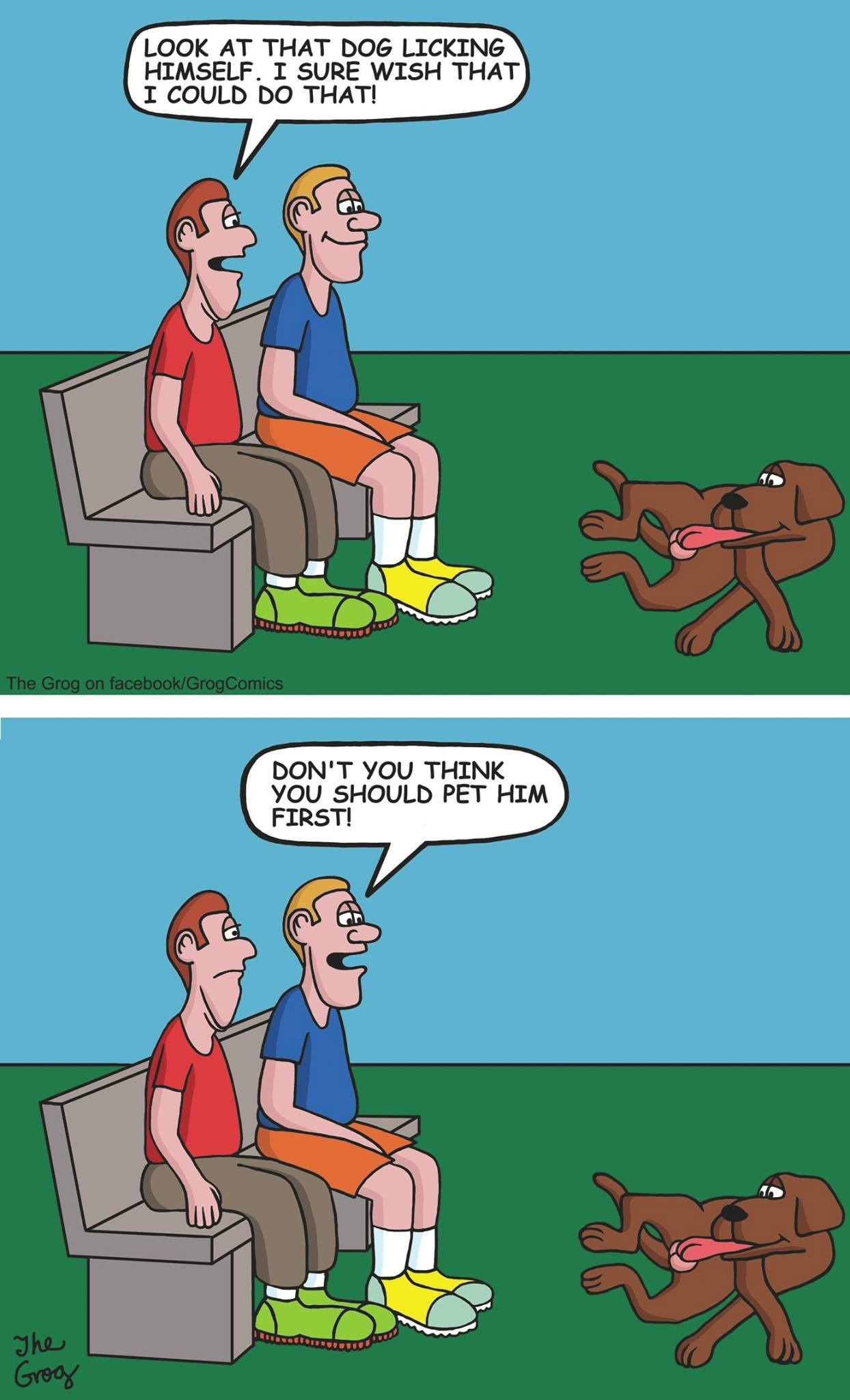 20 new Grog comics with humor that will make you smile