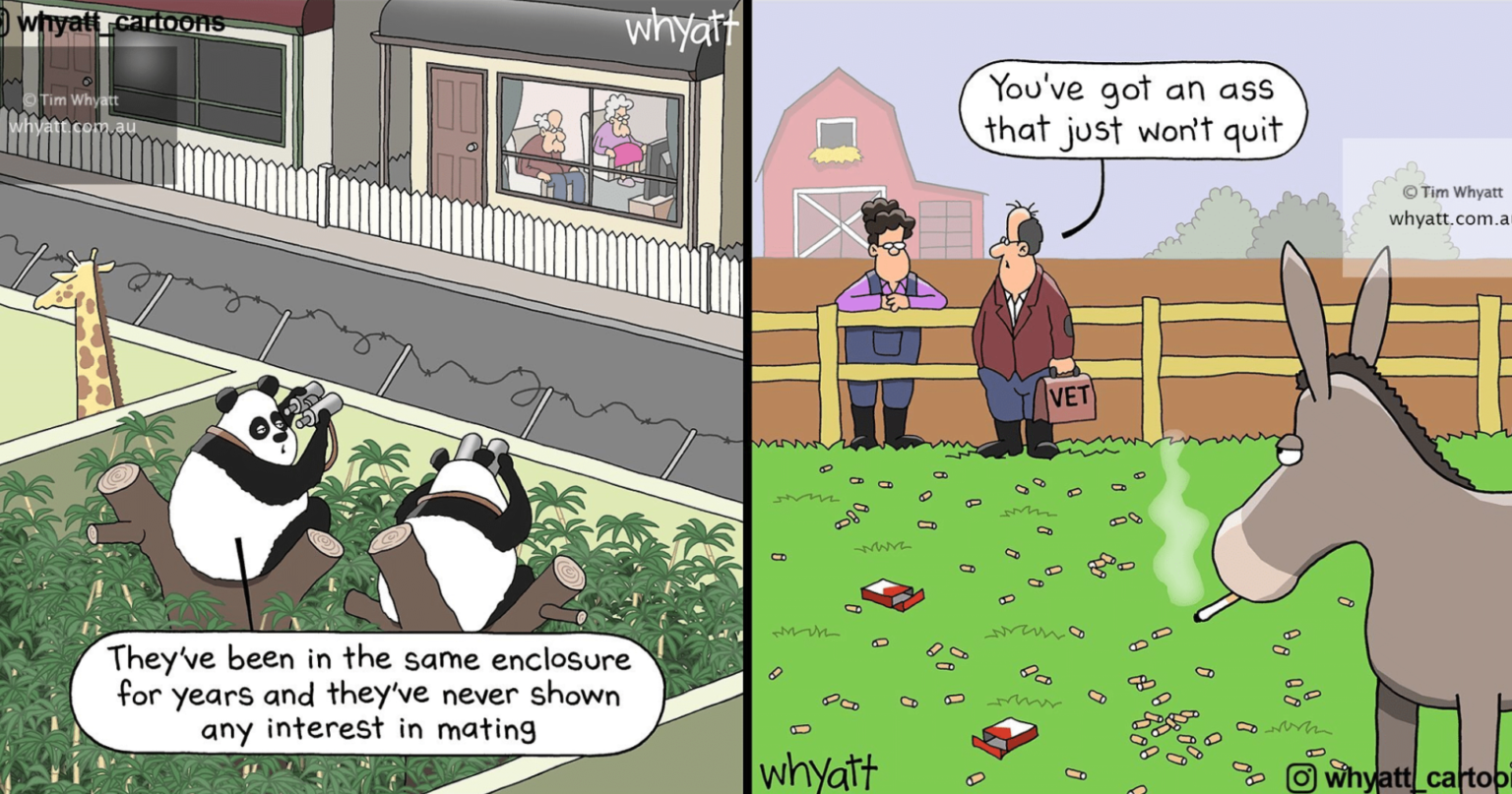 20 bizarre single-panel Whyatt cartoons