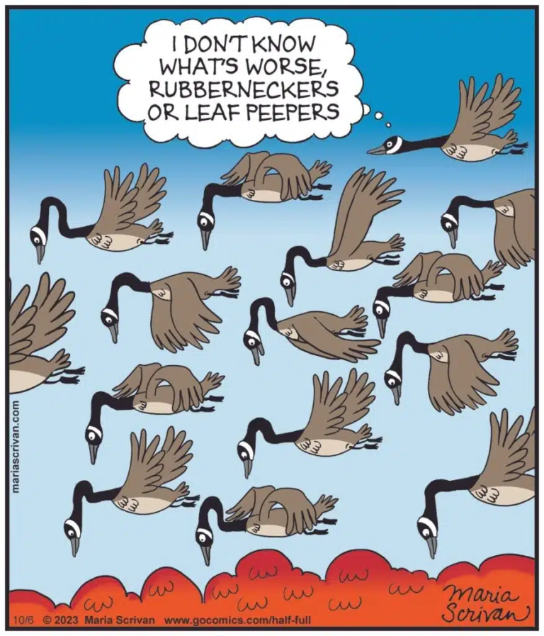 20 Comics for Fans of Dark and Intense Humor