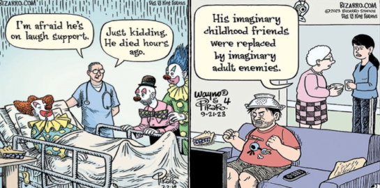 20 Fantastic Bizarro Comics with Remarkable Humor