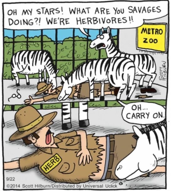 20 Humor Comics That Made People Smile On The Internet