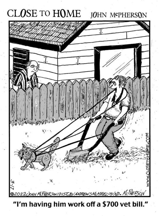 These 20 Humor Comics Will Make You Laugh All Morning Long