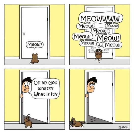 21 Comics That Illustrate A Cat Owner's Life