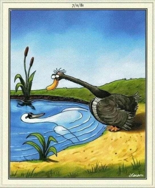 20 Images Of Far Side Comics That Will Melt Your heart