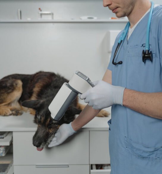 18 Funny Stories From Vets That Pet Owners Had To Share
