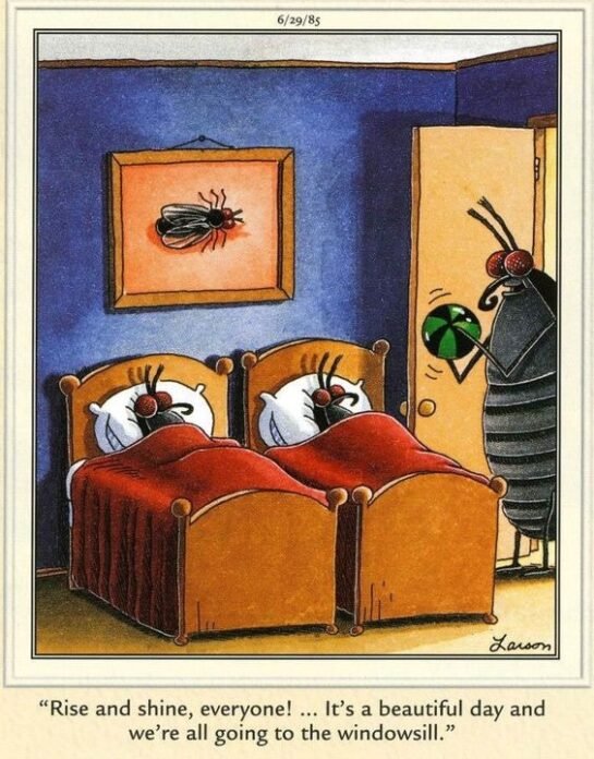 20 Far Side Comics to Make You Laugh Nonstop Your Daily Fun Dosage
