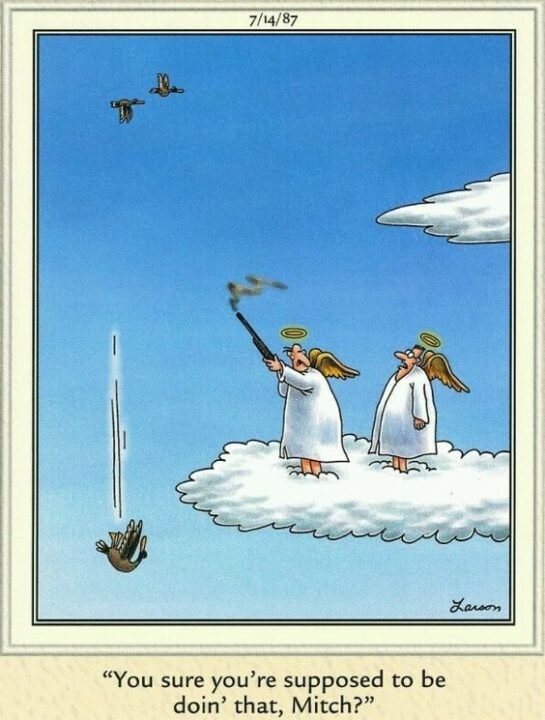 20 Cutesy Looking Dark Humor Far Side Comics That Are Too Twisted