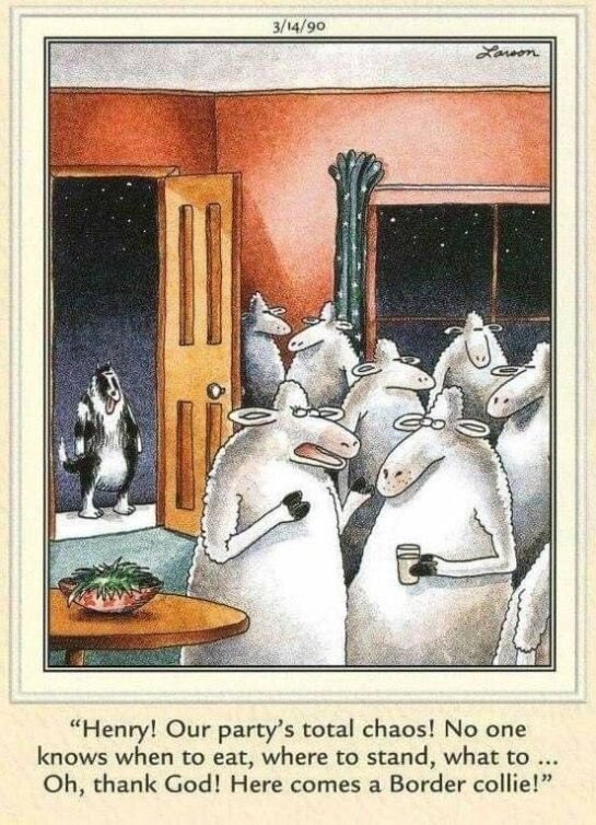 20 Incredibly Memorable Moments from the Enduring Legacy of Far Side Comics