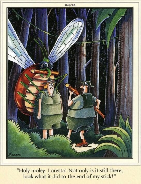 19 Hilarious Far Side Comics Illustrating The Funny Side Of Everyday Life