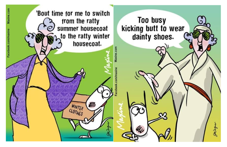 These 20 Stunning Maxine Animations Will Inspire You