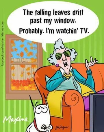 These 20 Stunning Maxine Animations Will Inspire You