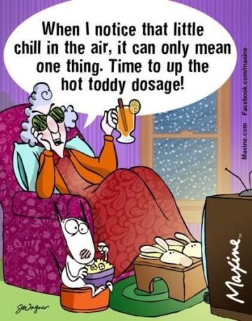 These 20 Stunning Maxine Animations Will Inspire You