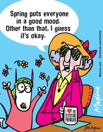 These 20 Stunning Maxine Animations Will Inspire You