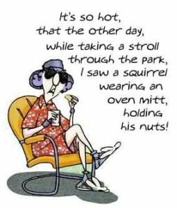 These 20 Stunning Maxine Animations Will Inspire You