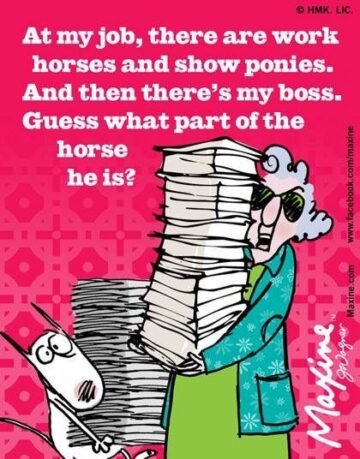 These 20 Stunning Maxine Animations Will Inspire You