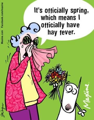 These 20 Stunning Maxine Animations Will Inspire You