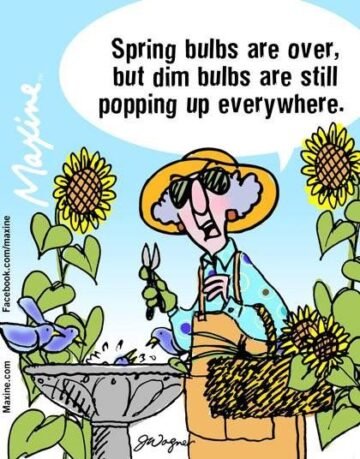 These 21 of the Best Maxine Cartoons Will Encourage You