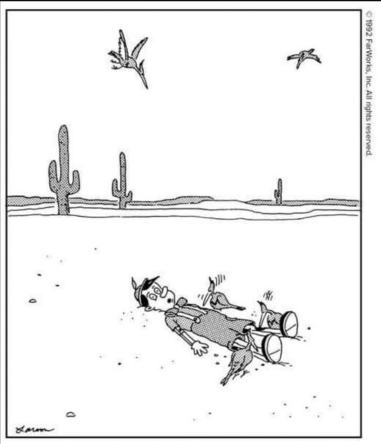 Top 20 Humorous Far Side Comics That Will Refresh Your Day