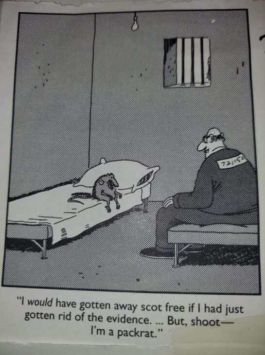 Top 20 Humorous Far Side Comics That Will Refresh Your Day