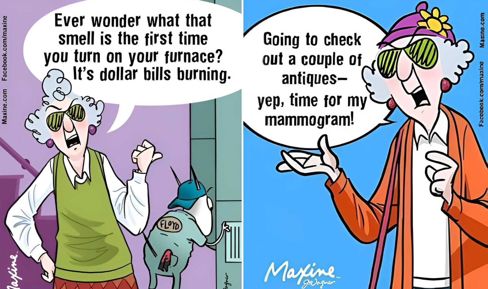 These 20 of the Best Maxine Cartoons Will Motivate You