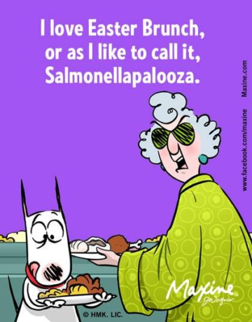 The 20 Hilarious Maxine Jokes That Will Never Go Away