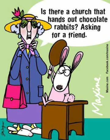 The 20 Hilarious Maxine Jokes That Will Never Go Away