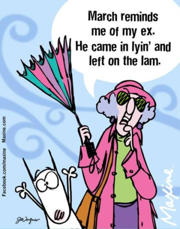 The 20 Hilarious Maxine Jokes That Will Never Go Away