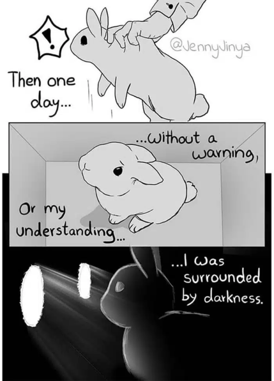 17 Heartbreaking Comics by Artist Jenny Jinya About A Pet Rabbit