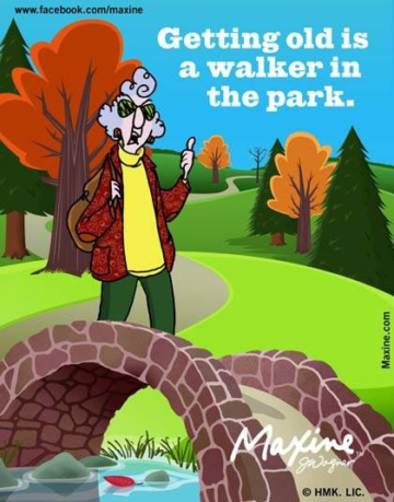 These 20 Magnificent Maxine Cartoons Will Motivate You