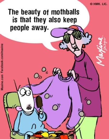 These 20 Magnificent Maxine Cartoons Will Motivate You