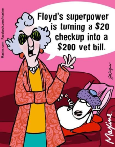 These 20 Magnificent Maxine Cartoons Will Motivate You