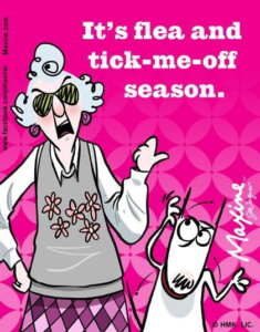 These 20 Magnificent Maxine Cartoons Will Motivate You